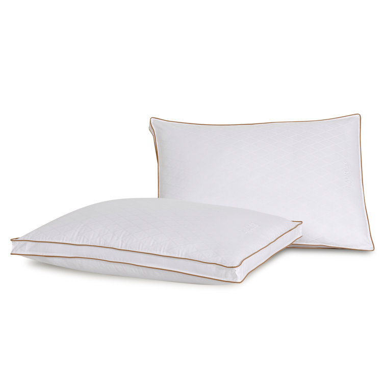 Lauren Ralph Lauren Winston Bed Pillow 2 Pack - Wayfair Canada